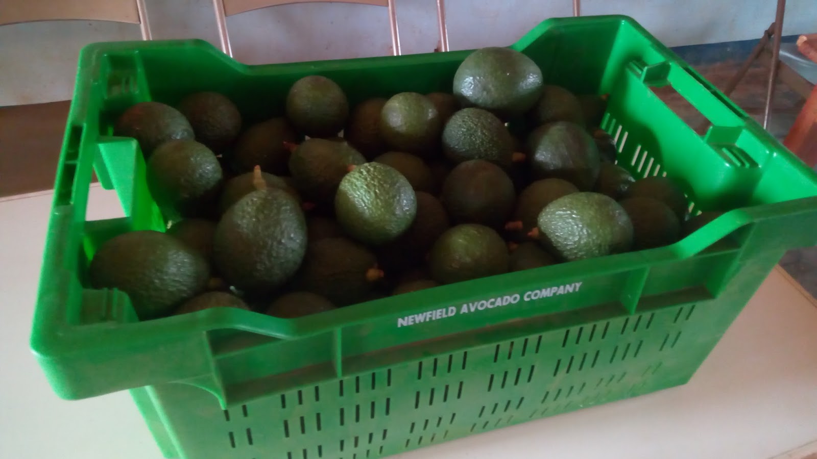 Habari Ludewa Blog: ZAO LA PARACHICHI LALETA NEEMA KWA WAKULIMA ...