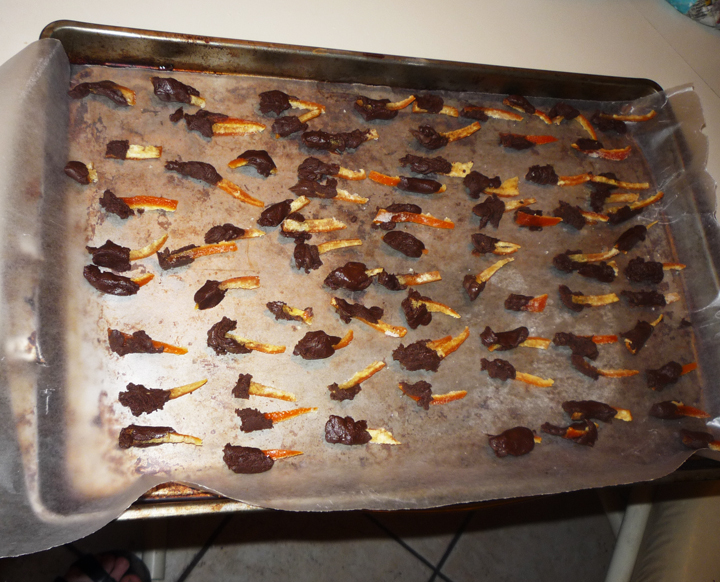 Valley fever, sour oranges and centipede legs