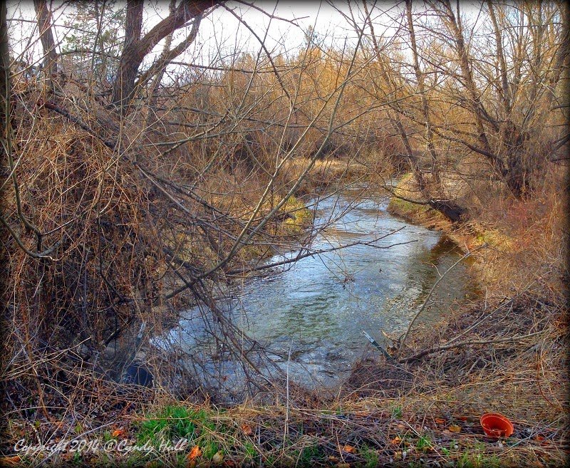 Montana 1 a day.com: Riverbank, Corvallis, Montana