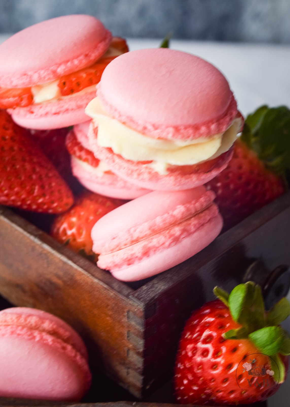 Macarons de Fresa - Vanilla & Berries