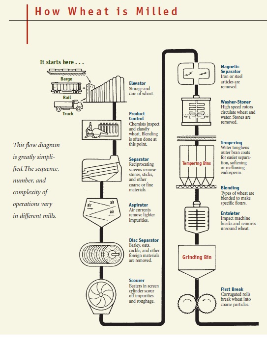 Physical Test for Wheat and Flour
