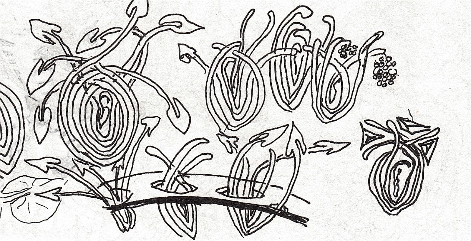 The Mooka Maven: EVOLUTION OF MY MOOKAS Part 3: Mooka leaves