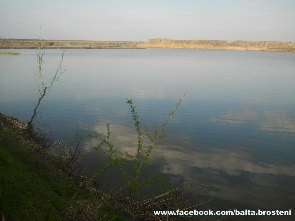 Pasiunea Pescuitului: Balta Brosteni