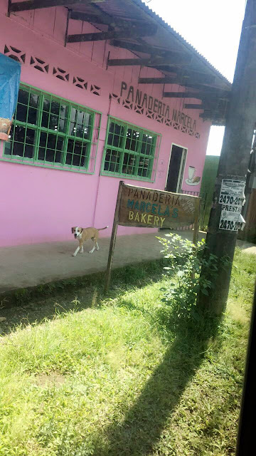 Costa Rican Birthday Baecation | McApril Lately