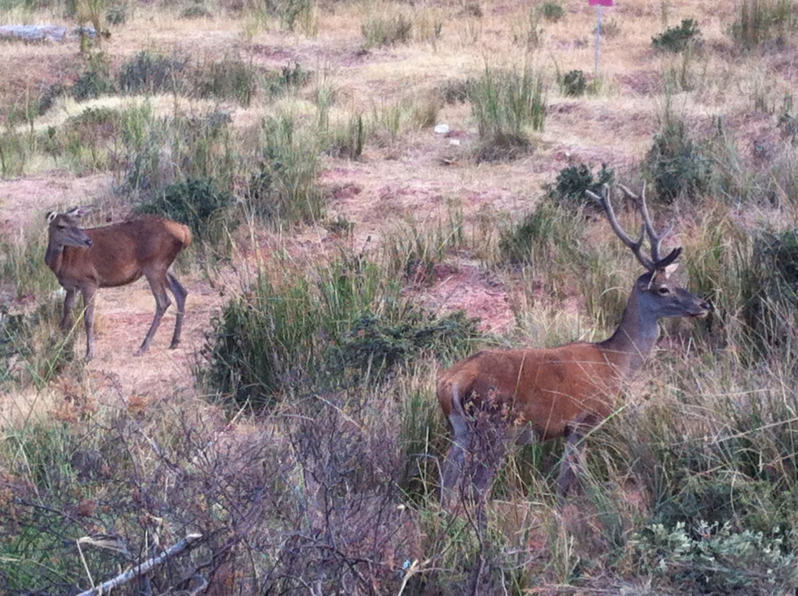 El Arcoiris de la Felicidad: Sierra de Cazorla