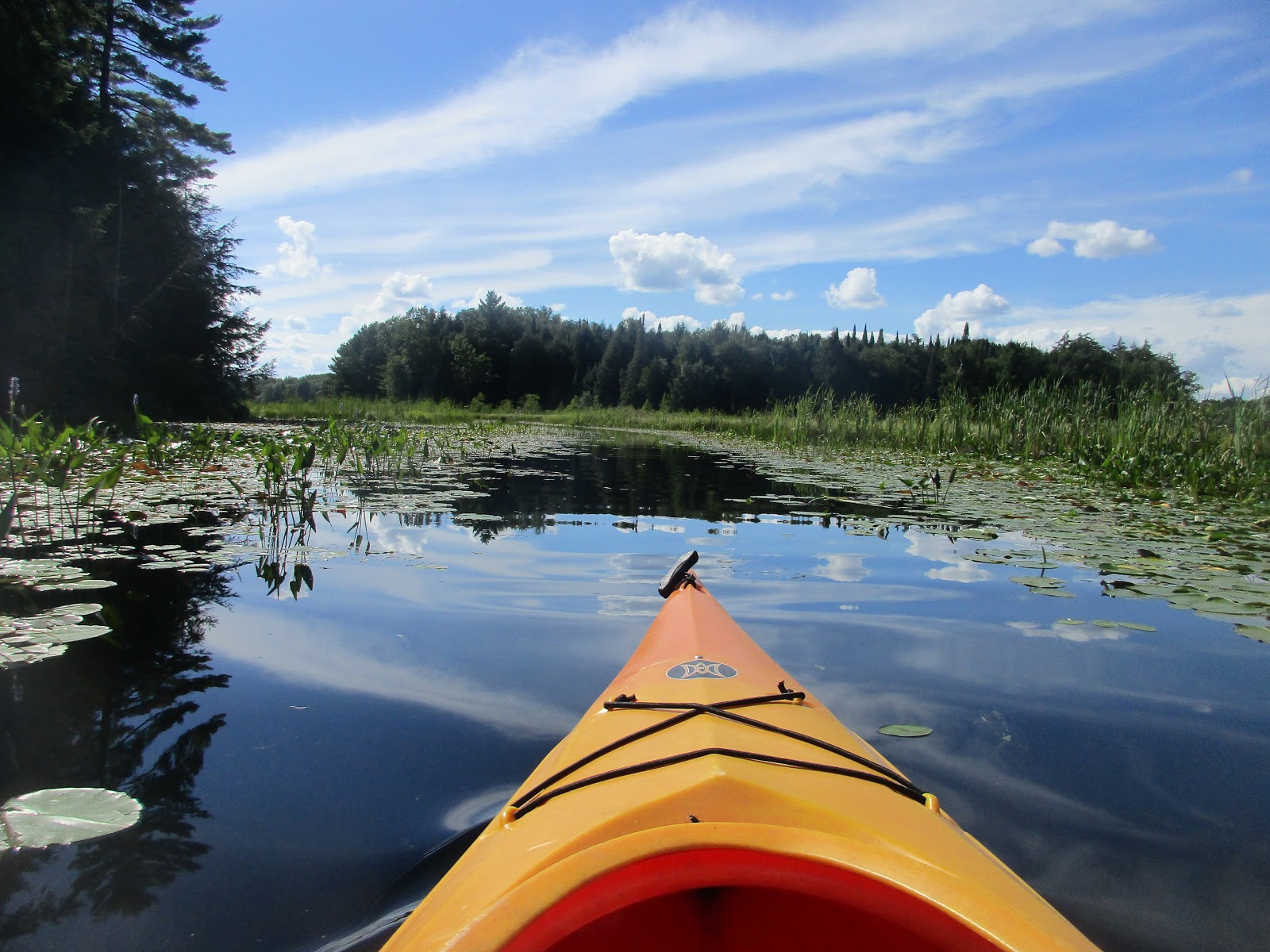 Dave's Yak Tales: Little Spider Lake, Day 3