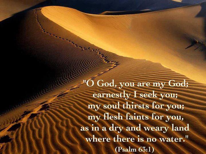 Growing Up In The Word : Filling The Void