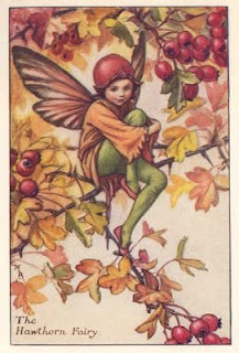 Szóvarázslók: Weöres Sándor - Galagonya