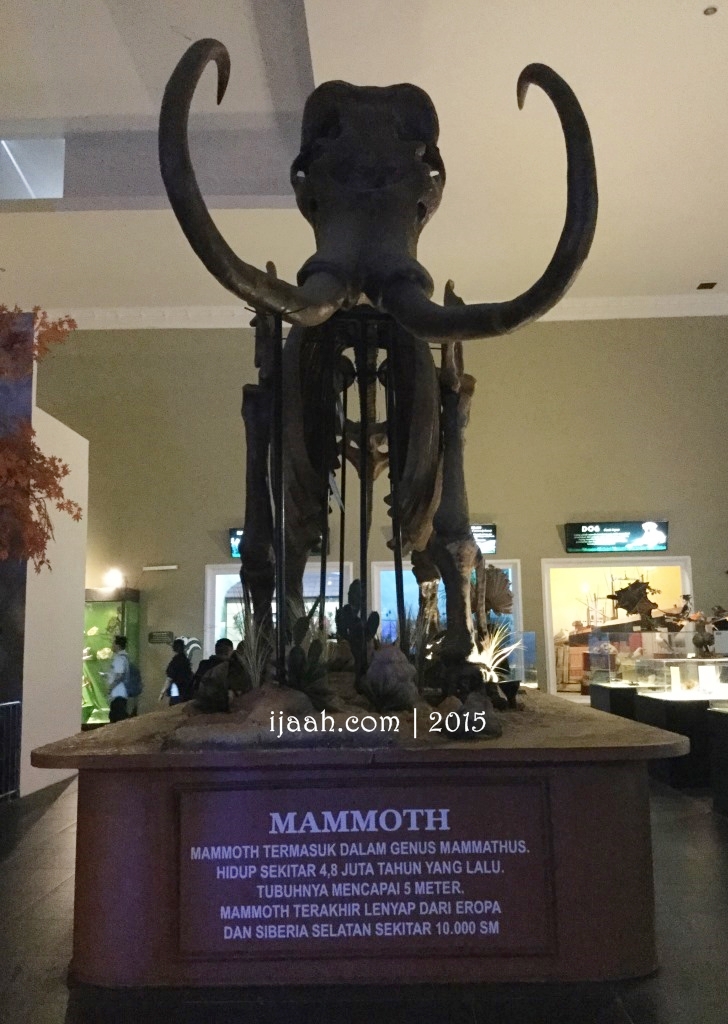 Diorama Museum Satwa, Jatim Park 2 - Zahra Rabbiradlia