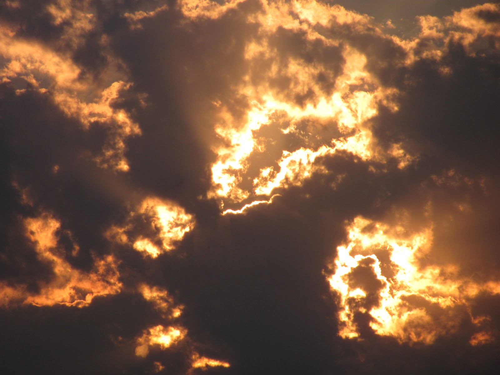 curving back: sun is shooting fire