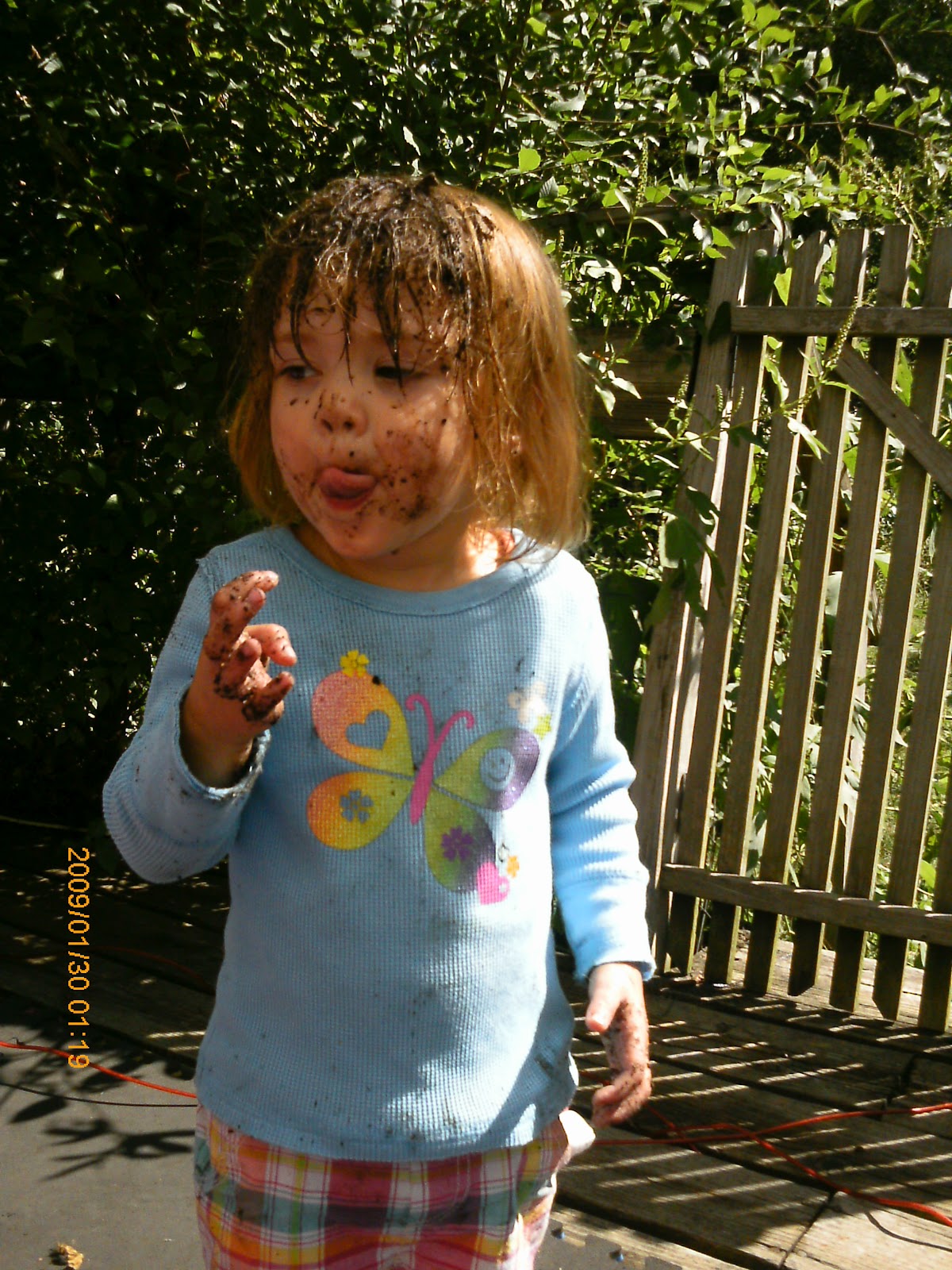 Little Stars Learning: Why are toddlers so ORNERY?