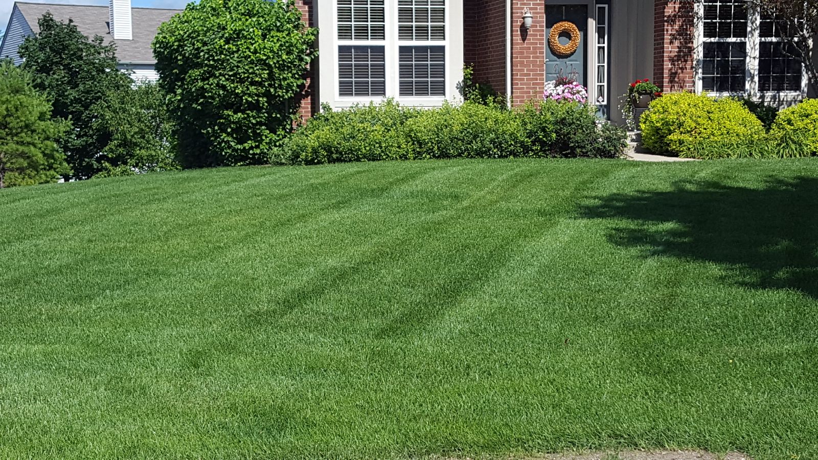 Lawn*Doctor Lawn Care Insights: Flood Damaged Lawns