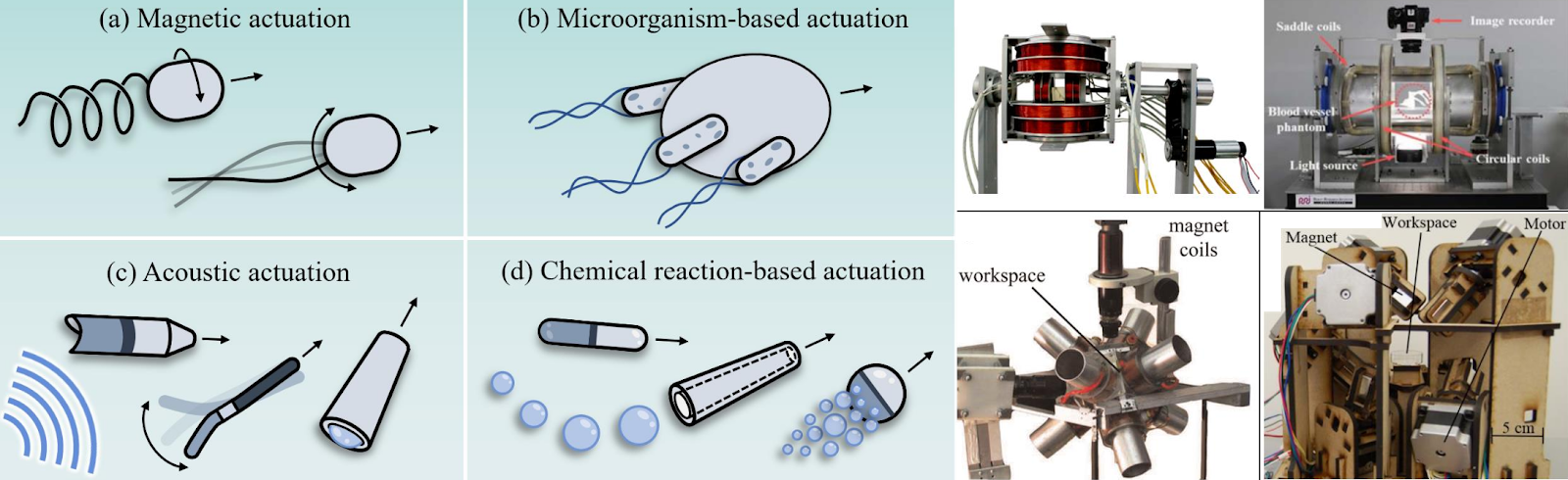 Targeted drug delivery technology using untethered microrobots