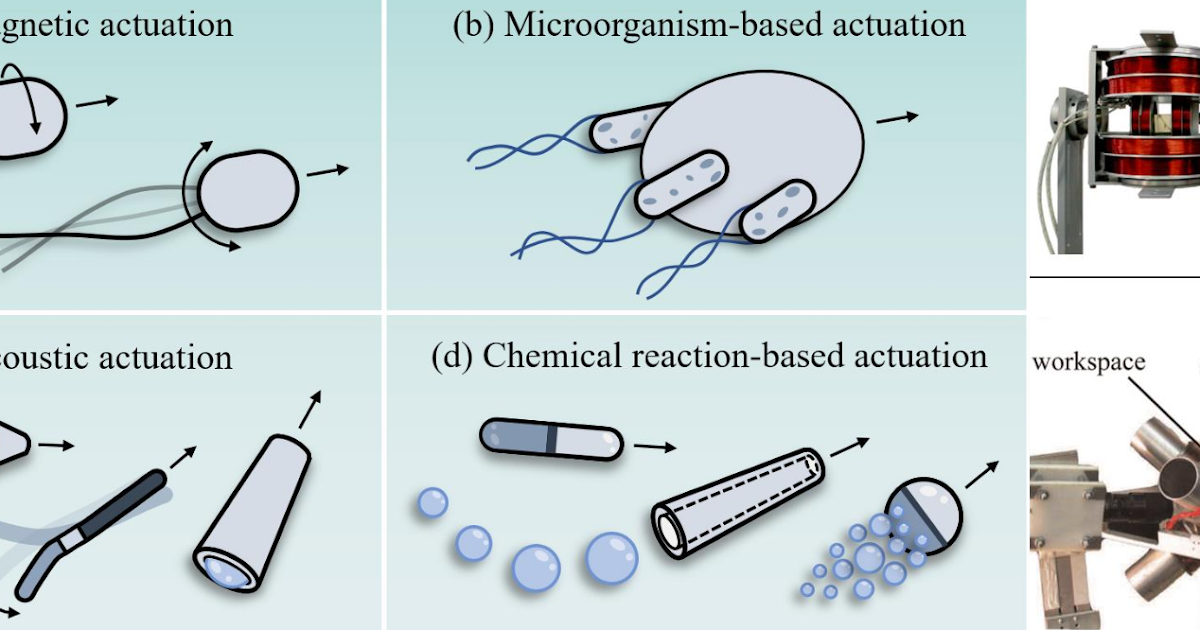 Targeted drug delivery technology using untethered microrobots
