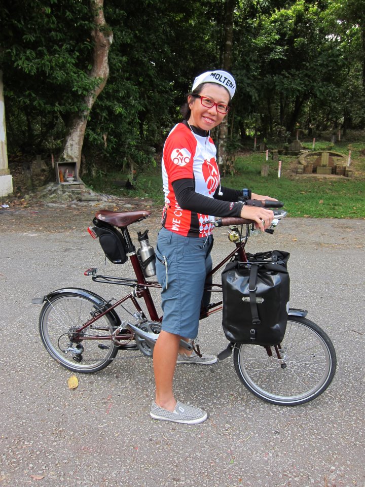 smallwheelsbigsmile: Moulton TSR front rack