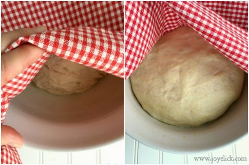 DIY No-Knead BREAD MIX: The frugal farm girl's ready-made mix series ...