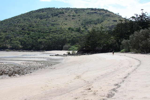 Daysi Tragesser : Goldsmith Island More fish great beach a badly ...