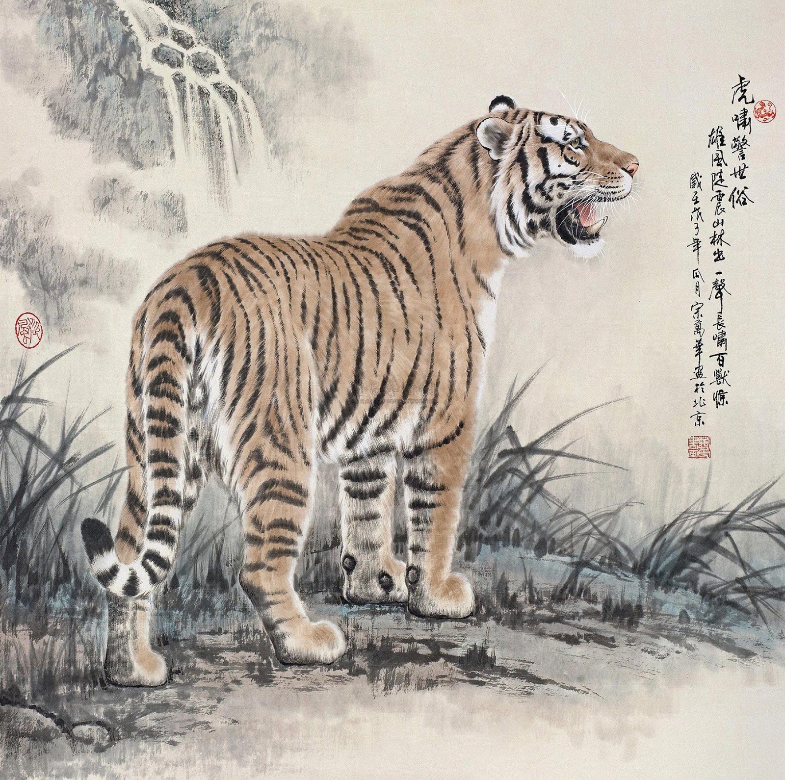 Welcome: Tiger Picture Collection