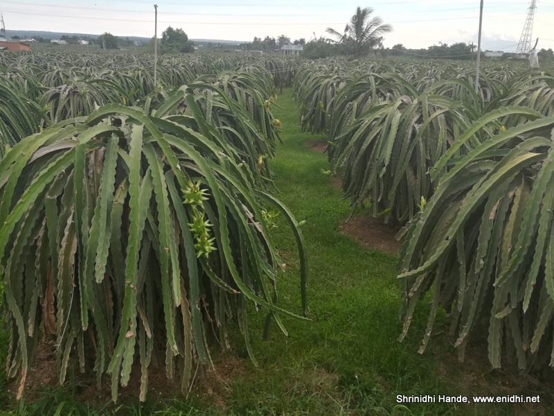 Vietnam Train journey experience: Unplanned visit to Muong Man - eNidhi ...