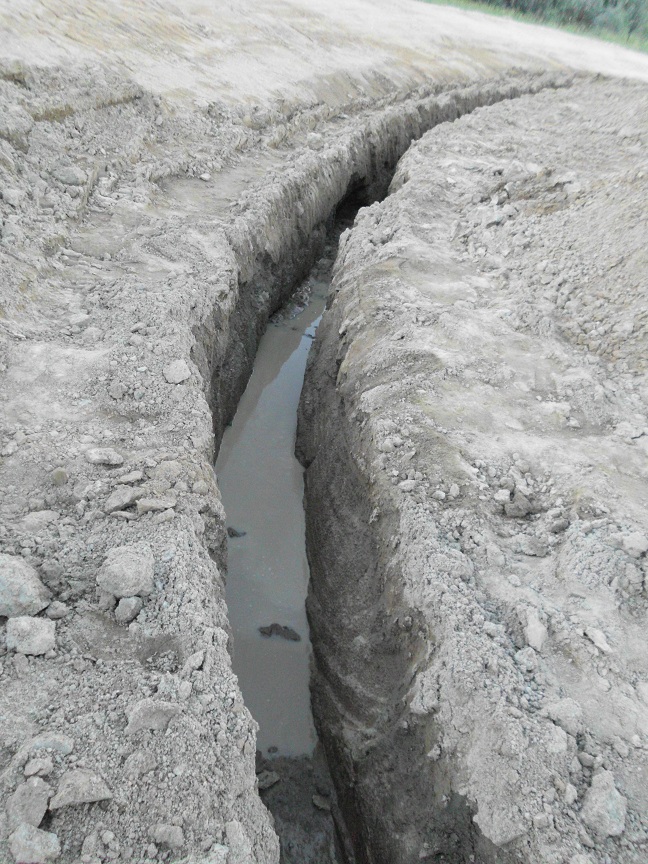 Tim & Jodie's House: Aggie Drain