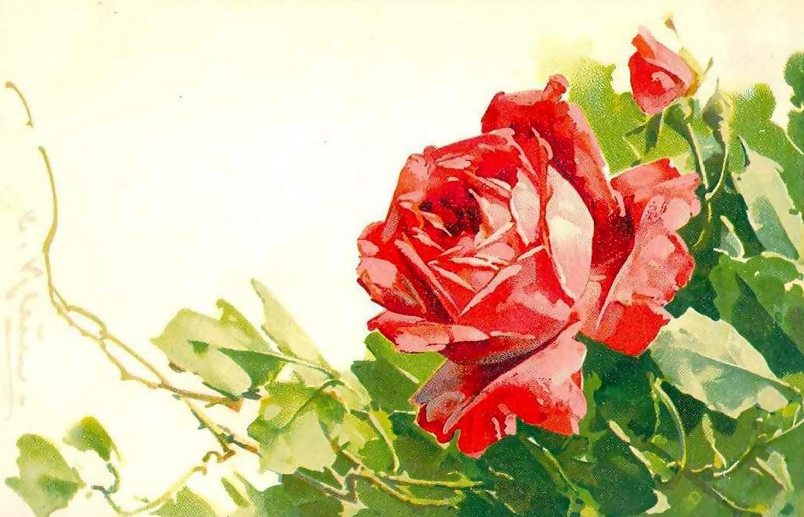Vintage Art Red Roses Prints Postcard | Joy Design Studio