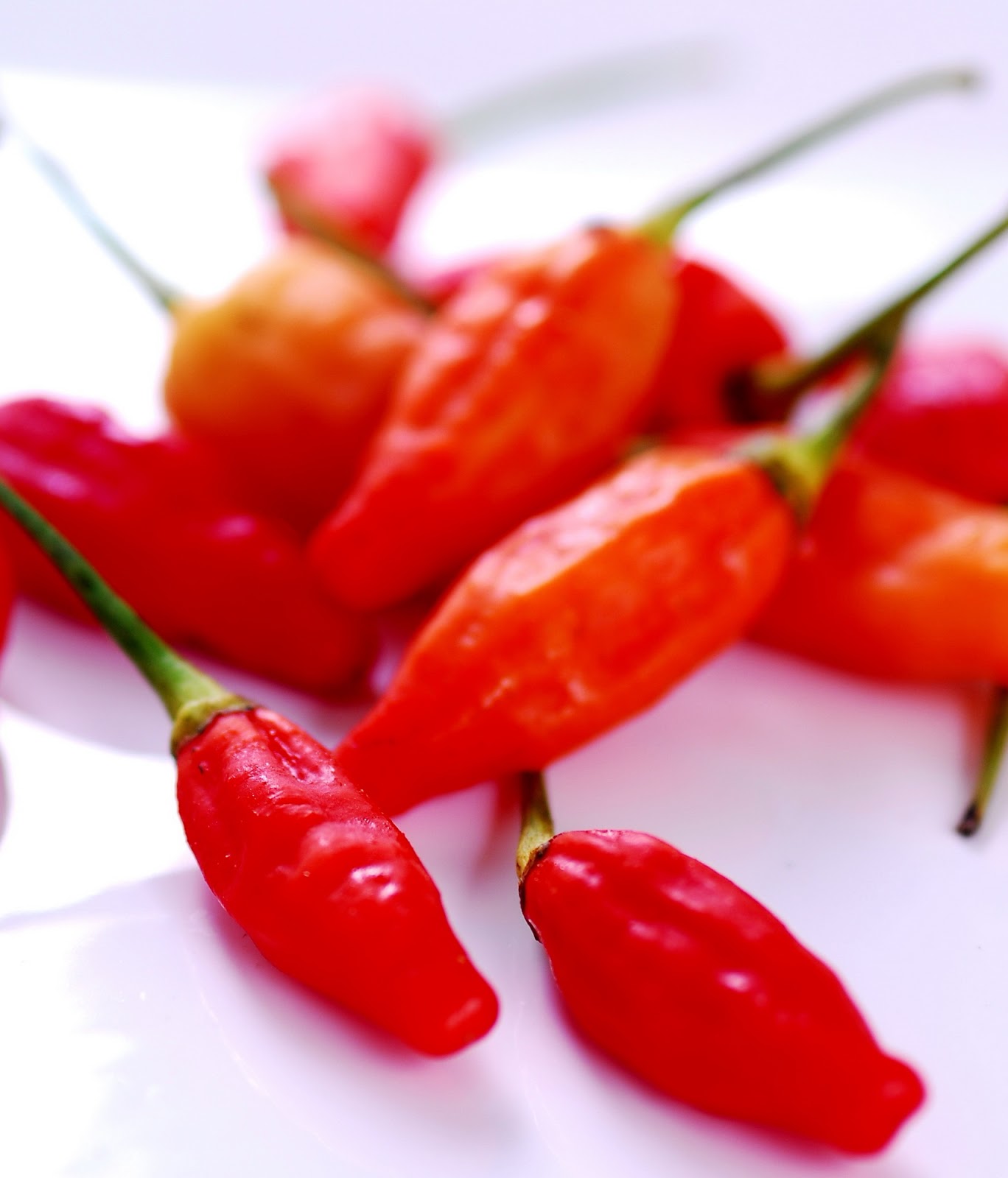 Gizi dan Kuliner by Budi: Mengenal Aneka Jenis Cabe - Bumbu Pedas ...