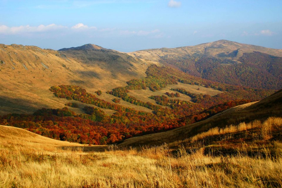 Anna Kwoka-Lachcik. Trener EFT.