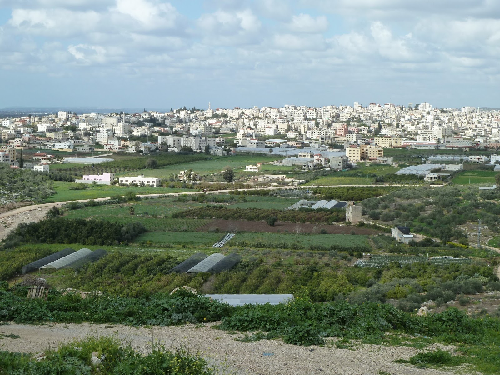 Palestine Journal: So near and yet so far