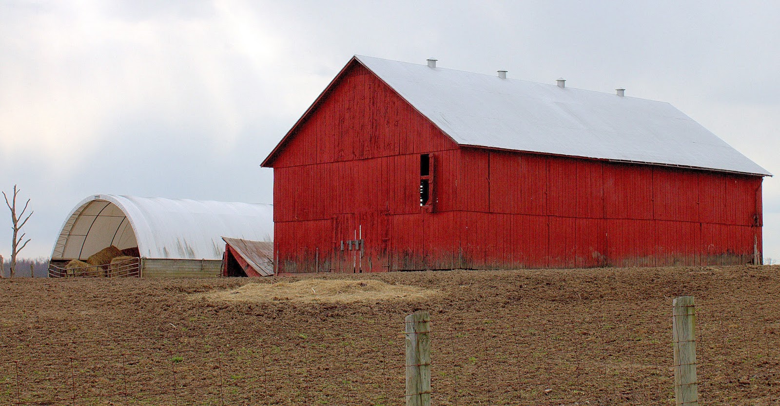 FOLKWAYS NOTEBOOK: KENTUCKY OLD BARN GALLERY