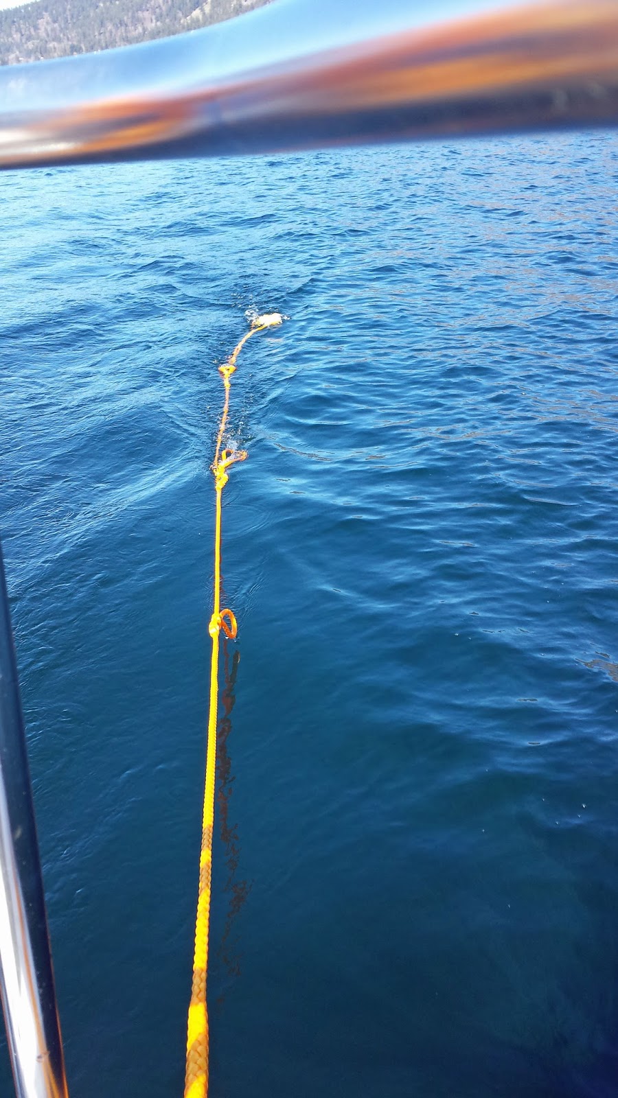 Barnacle Bill Holcomb's Sailing: Man Overboard Line