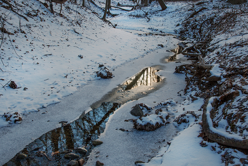 Urban Wilderness: Photo essay: A rare winter day in Jacobus Park