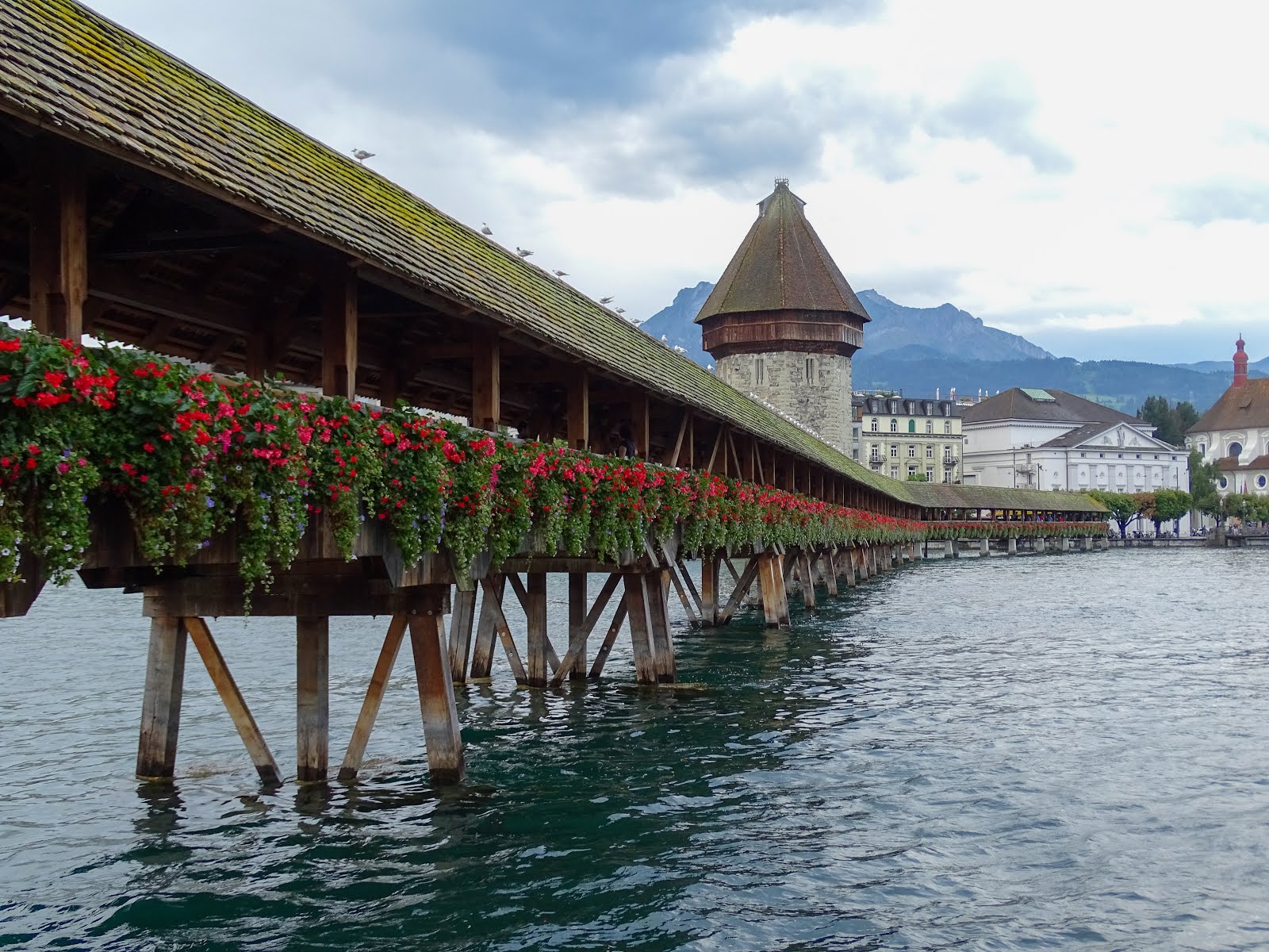 Walking Arizona: Kapellbrücke (Chapel Bridge) and water tower, Lucerne ...