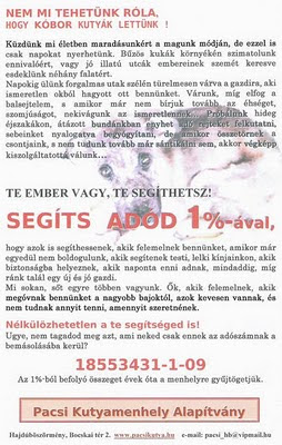 Iránytű állatvédőknek, állatbarátoknak: "Pacsi" Kutyamenhely Alapítvány