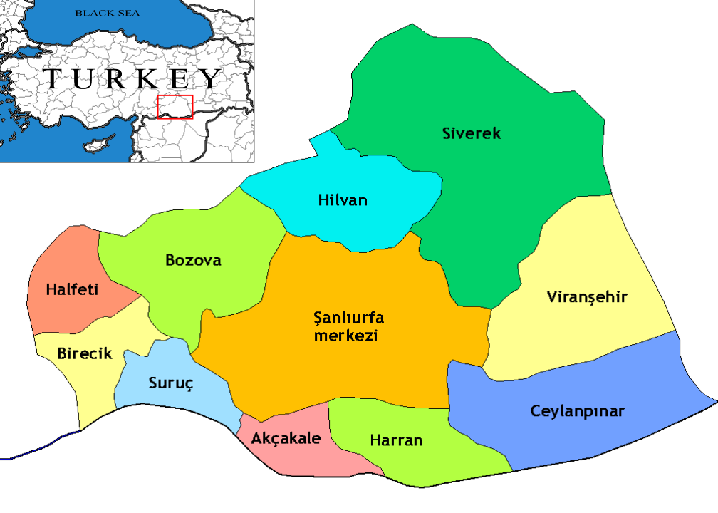 Turkish Black Rose - Ωmnibus