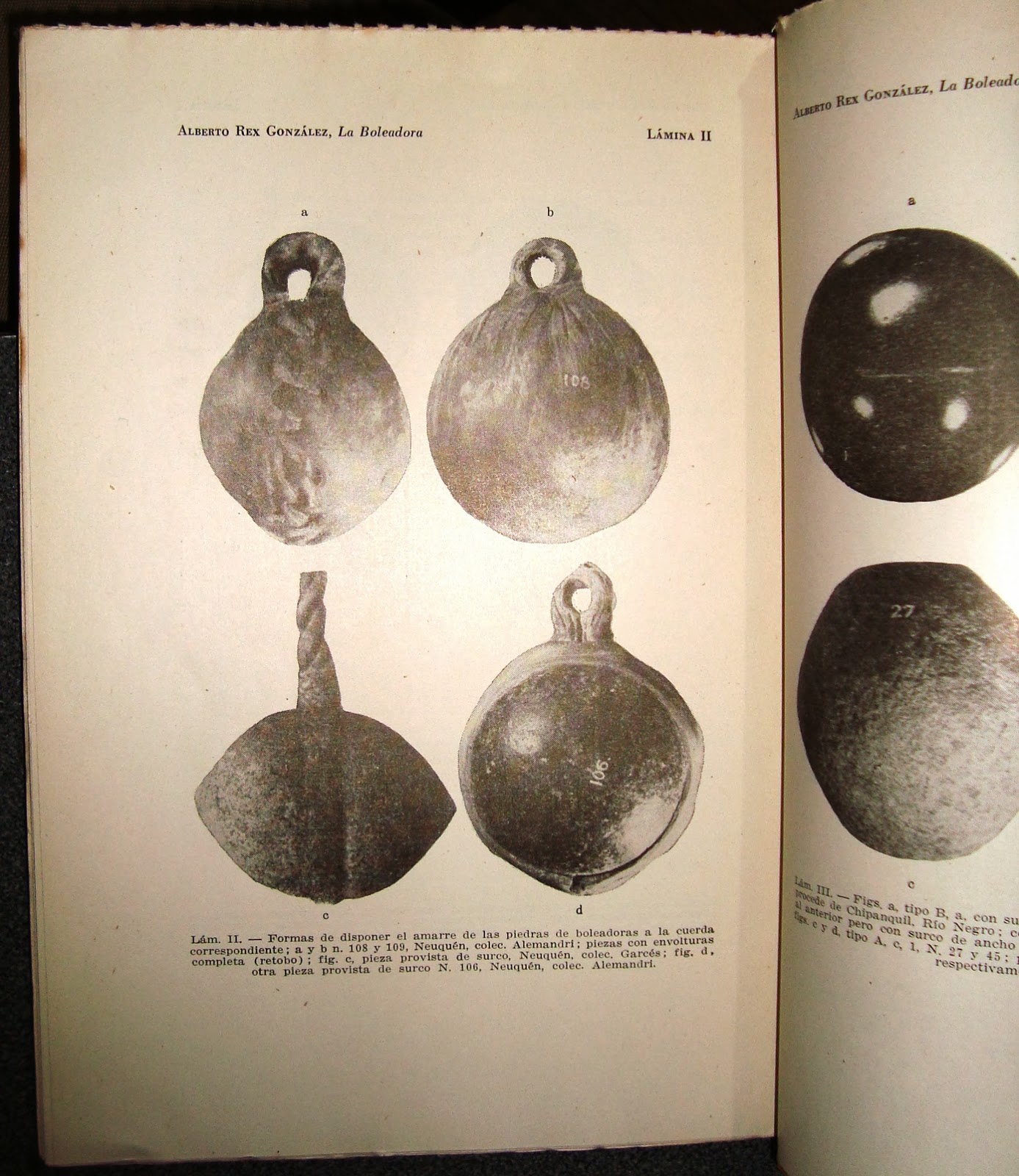 LEYEDOR LIBROS: LA BOLEDORA Y SUS AREAS DE DISPERSION ALBERTO REX ...