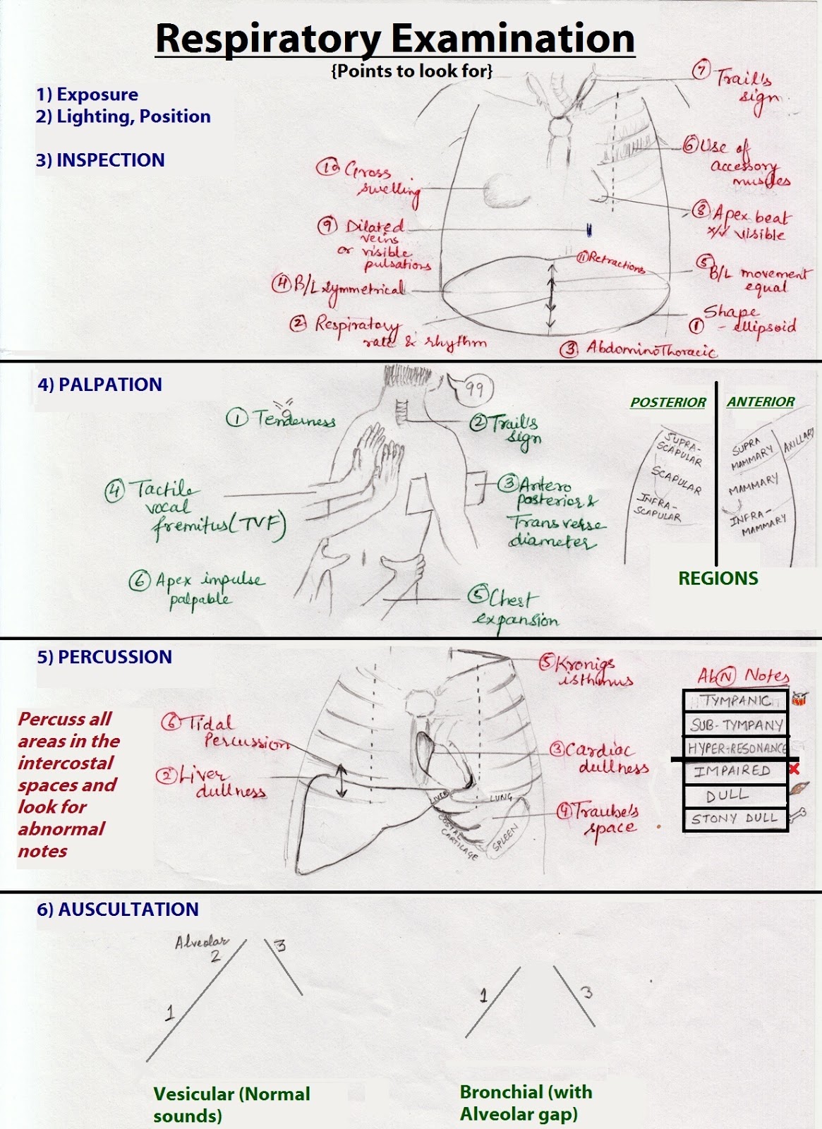 胸腔理學檢查 Chest physical examination