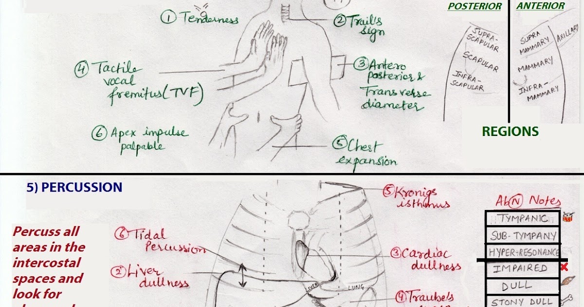 胸腔理學檢查 Chest physical examination