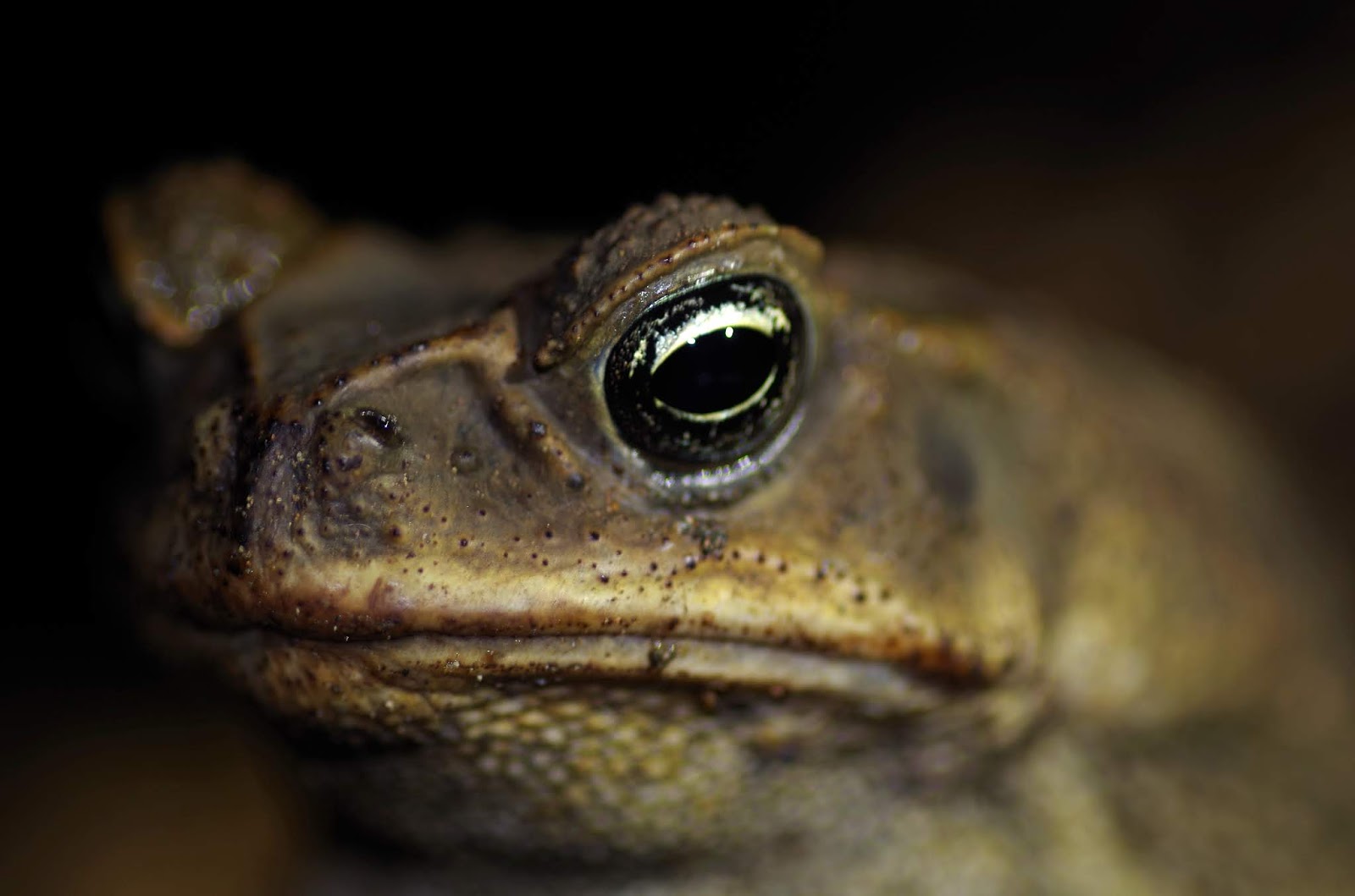 Becka's Epic Adventures