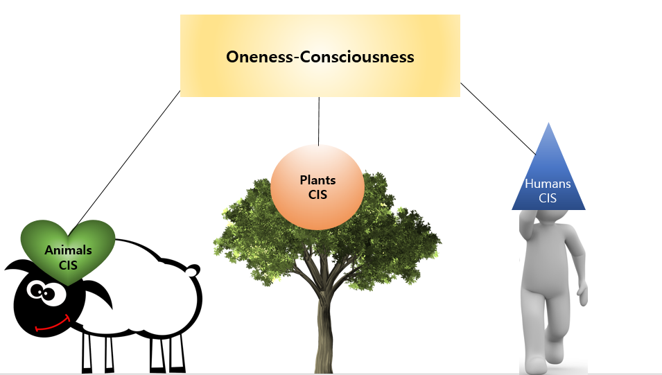 Meta-humanoid Consciousness Implementation System and Oneness-Consciousness