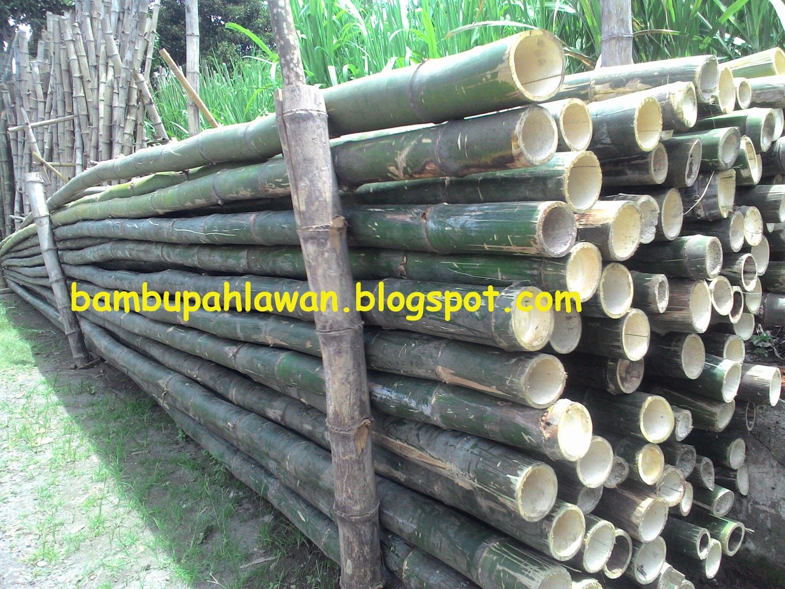 BAMBU PAHLAWAN: jual bambu sesek gedek kediri surabaya sidoarjo gresik ...