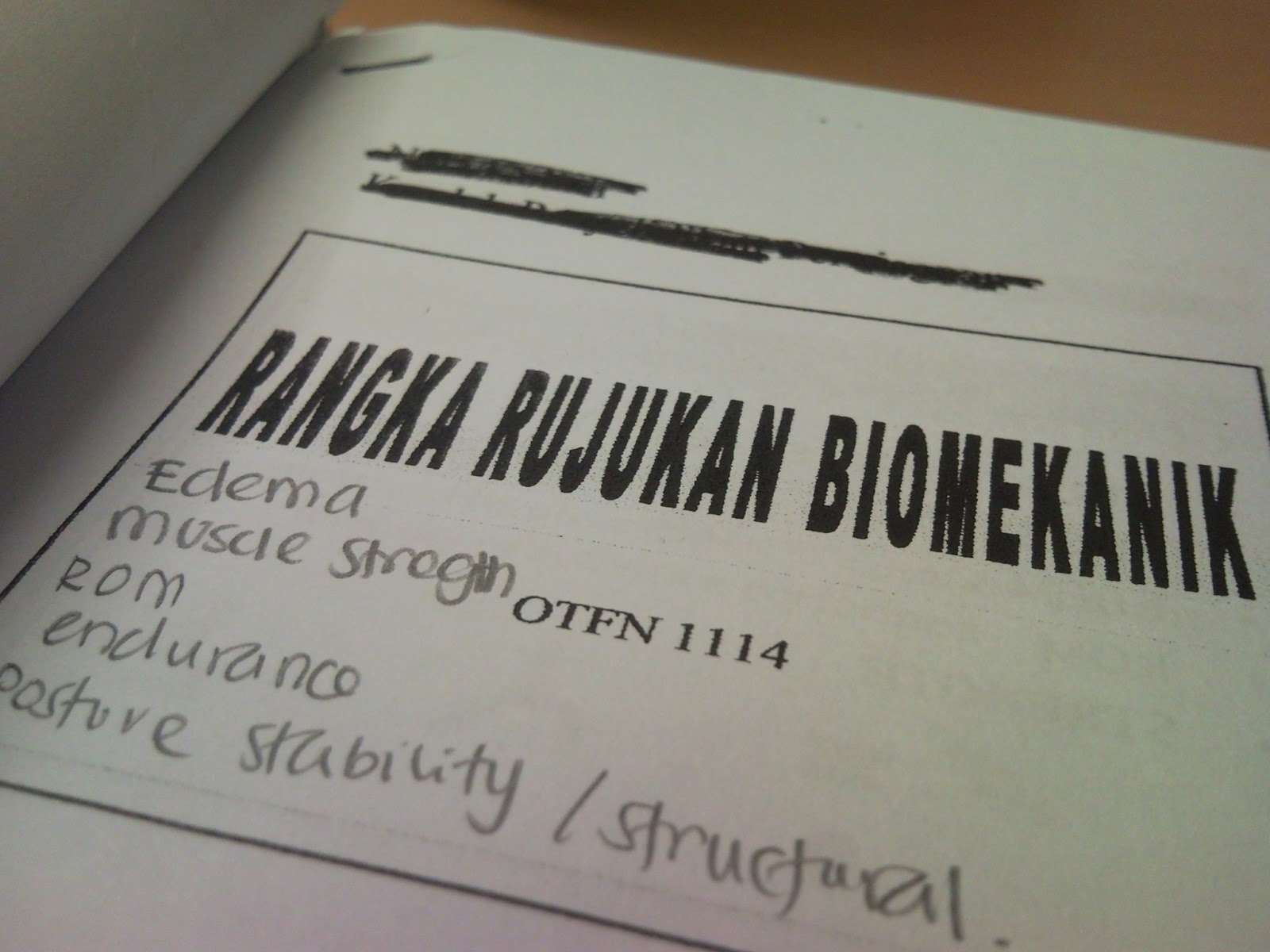 Mr. OccT: MODEL AND FRAME OF REFERENCE OCCUPATIONAL THERAPY