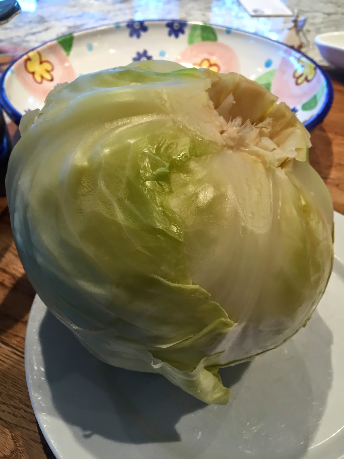 Here and There: Cabbage Rolls, Holopchi