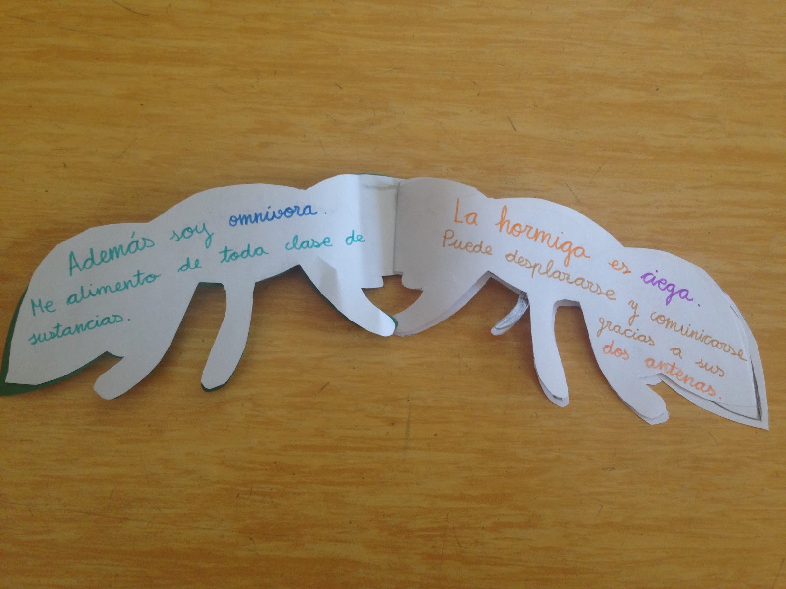 Experiencias de Colores: Las hormigas