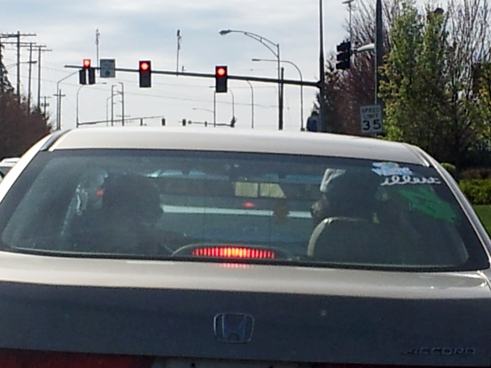 Panoramic Rear View Mirror - Defensive Driving School