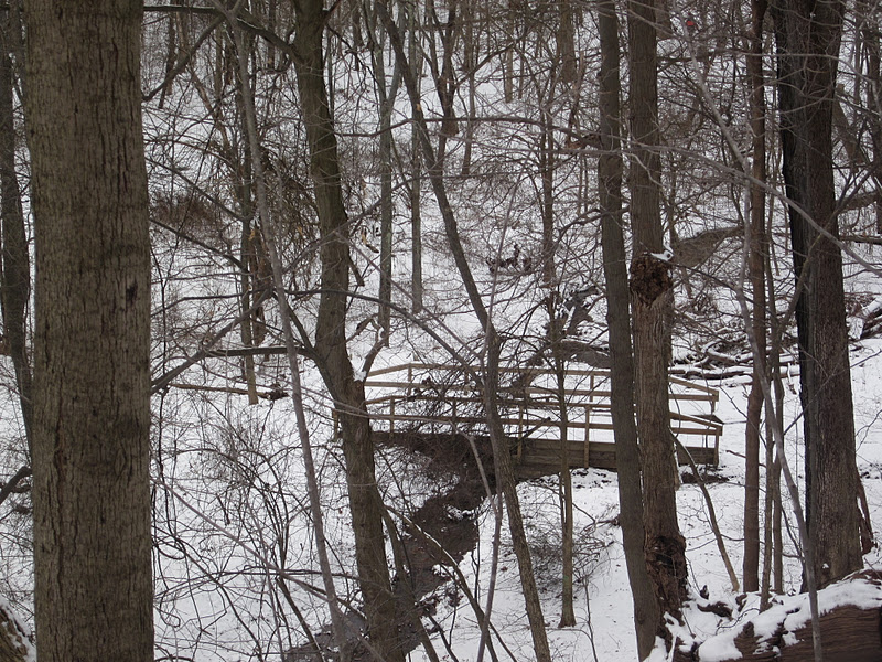 Garden Discoveries: Snow Covered Trails