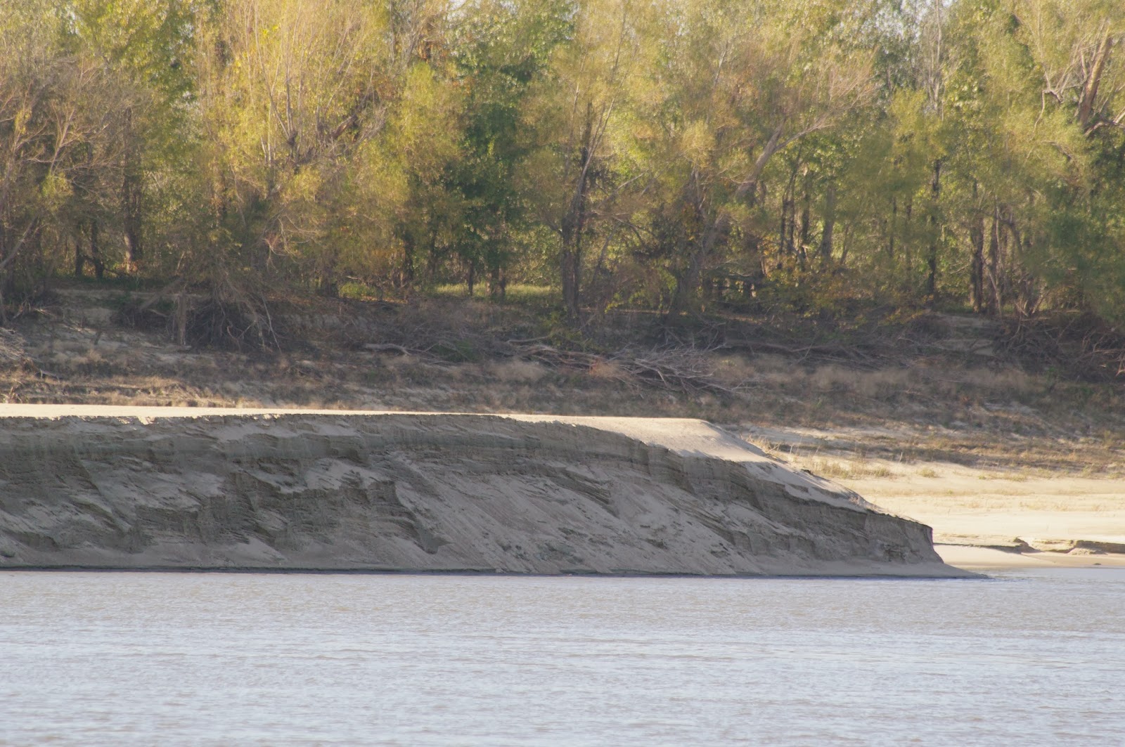 Kingston Rovers: The Mississippi