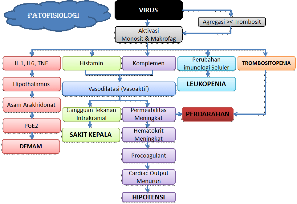 ALL IS WELL: PATOFISIOLOGI DEMAM BERDARAH DENGUE
