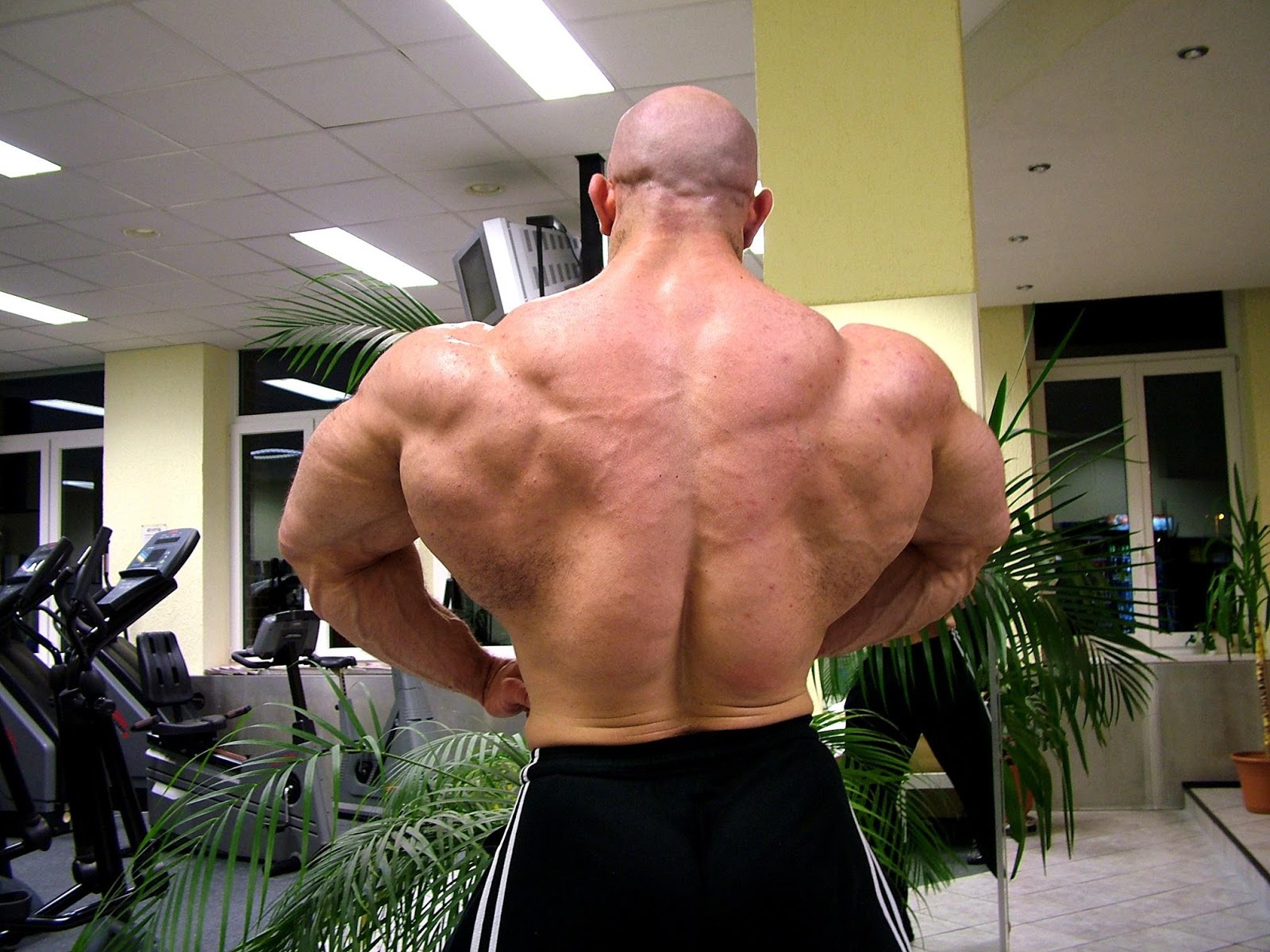 Muscle Lover: Magnificent backs (2)