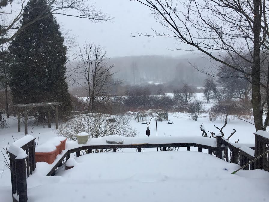 when love comes to town: blinding snow and freezing fog...