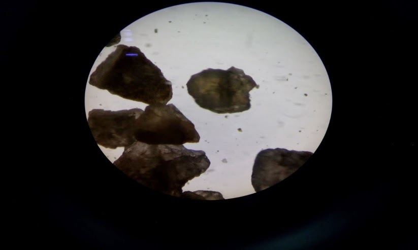 Lab Report Practical 3 Particle Size And Shape Analysis Using Microscope